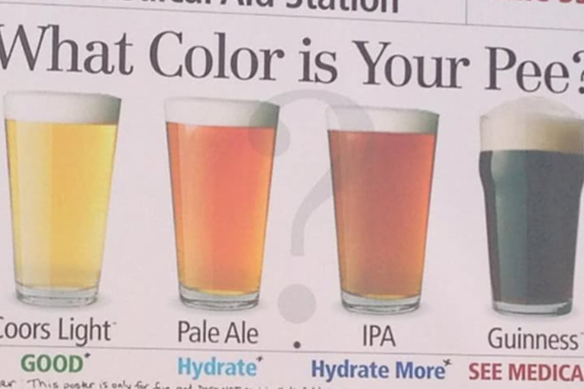 A beer has been created using urine collected at Roskilde Festival