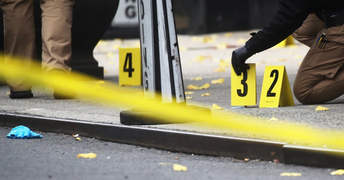 CEO Shooting 'Person of Interest' Ripped Insurance Industry in ...