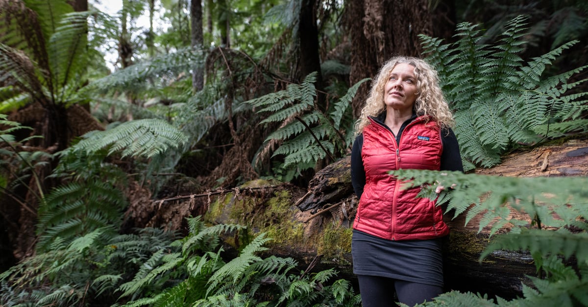 The Fight For Victoria's Forests: Rolling Stone Feature Story