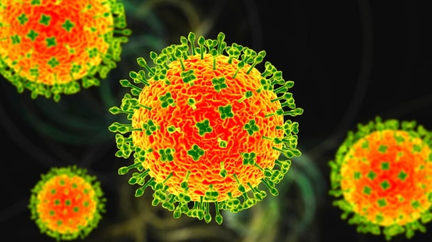 35 people in China infected with Langya virus, no cases in Australia so far