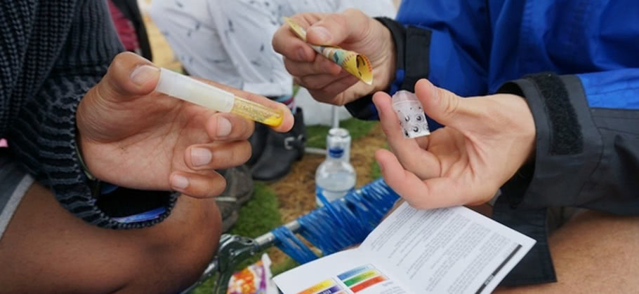 Channel 7 have shared the case for introducing pill testing at festivals