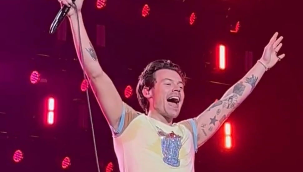 Daryl Braithwaite weighs in on Harry Styles' 'The Horses' cover