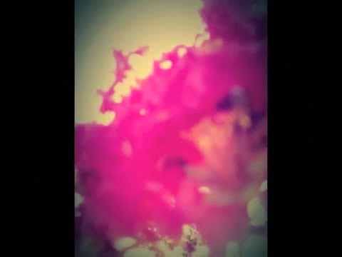 Brave Face - Any Other Love
