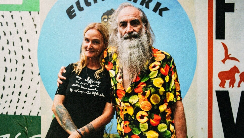 Warren Ellis Brings New Film 'Ellis Park' on Tour