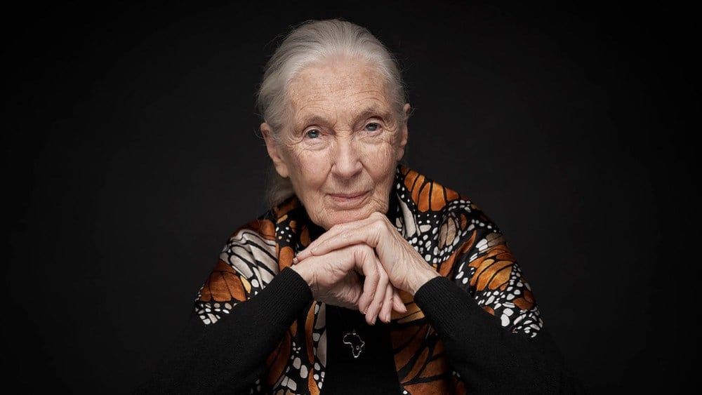 Jane Goodall, Iconic Chimpanzee Expert, Dies at 91