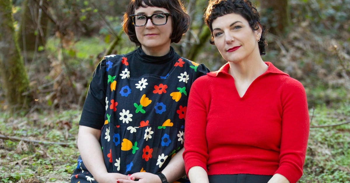 The Softies Announce First Album in 24 Years