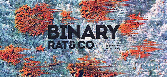 Review: Binary by Rat & Co