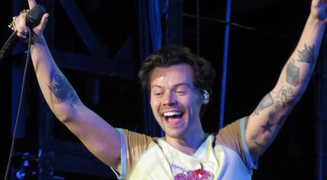The Ultimate Job for Harry Styles Superfans Has Arrived
