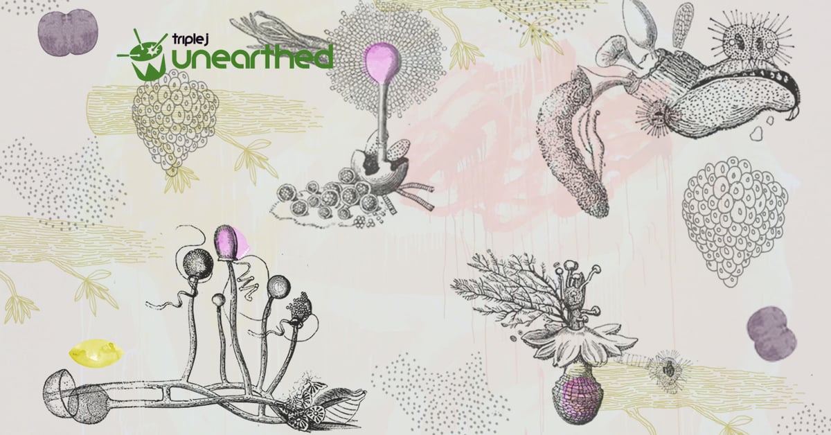 triple j Unearthed returns NIMAs comp