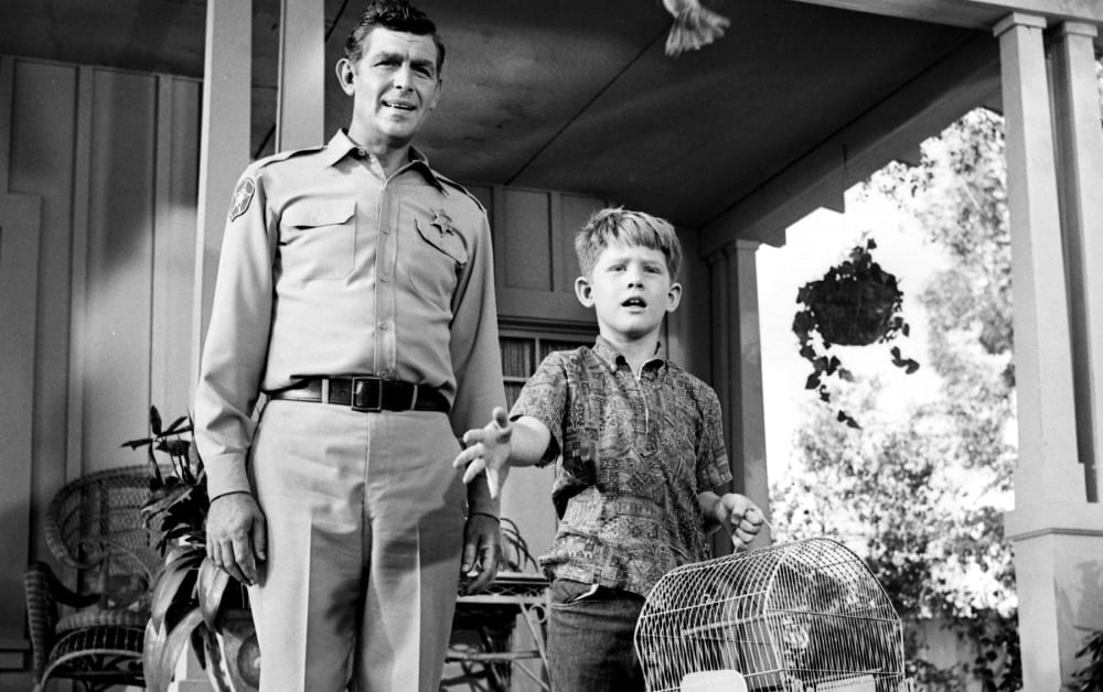 The Andy Griffith Show, “Opie the Birdman” (Season 4, Episode 1 ...