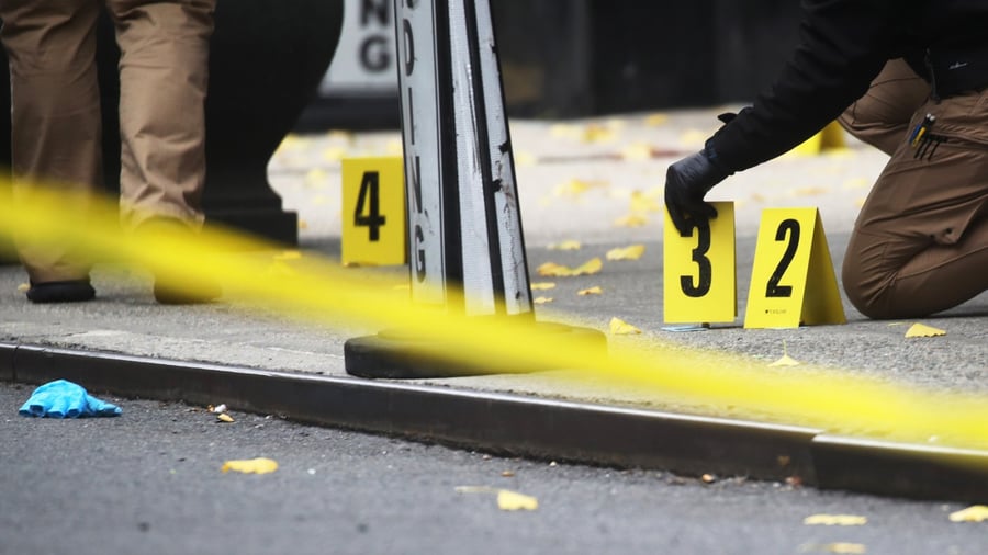 CEO Shooting 'Person of Interest' Ripped Insurance Industry in ...