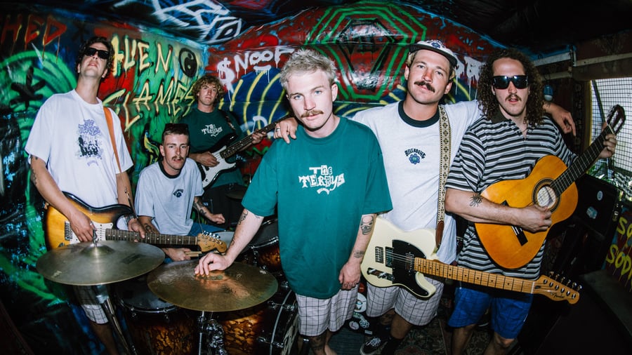 Song You Need to Know: The Terrys, 'Ziggy's Mine'