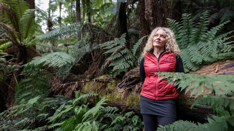 The Fight For Victoria's Forests: Rolling Stone Feature Story