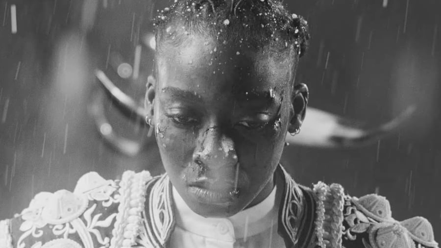 Little Simz Previews Upcoming Album 'Lotus' With 'Flood' Video